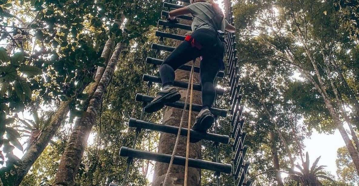 SKYTREX Adventure Sungai Congkak Half Day Activity | GetYourGuide