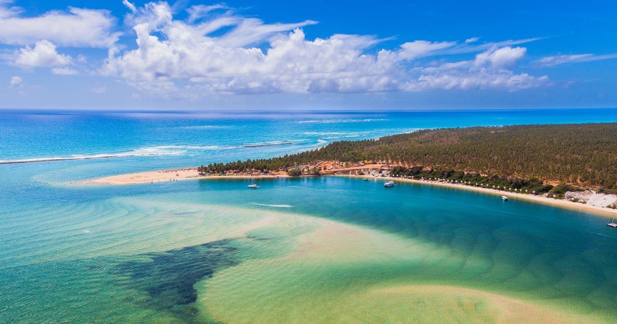 Maceio: Tour naar Gunga Beach | GetYourGuide