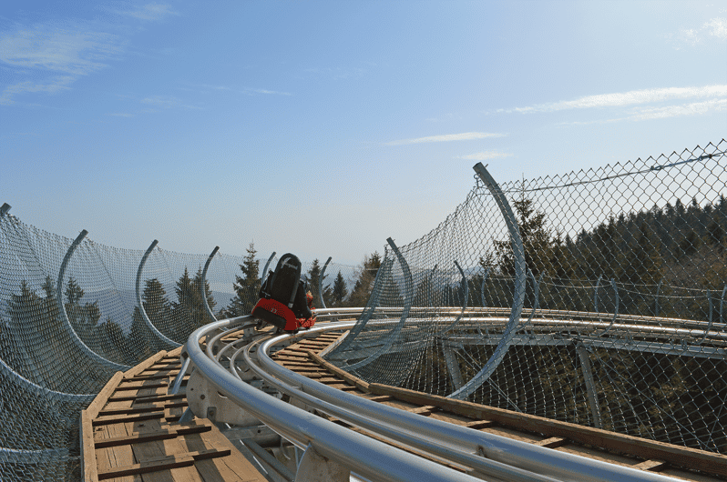 Stresa : Alpyland Alpine Coaster Ride on Mount Mottarone | GetYourGuide