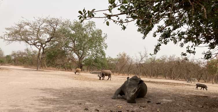 Fathala overnight tour | GetYourGuide