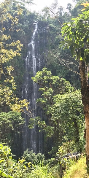 Materuni Waterfall Day Trip | GetYourGuide