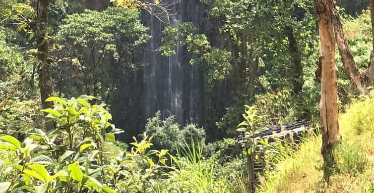 Materuni Waterfall Day Trip | GetYourGuide