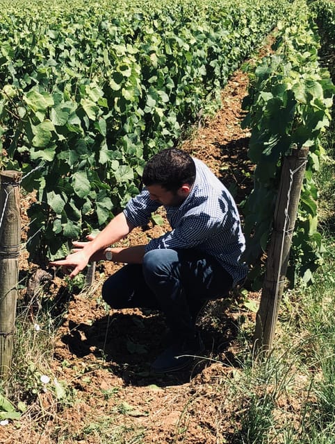 Côte de Beaune and Côte de Nuits : Private Full day Winetour | GetYourGuide
