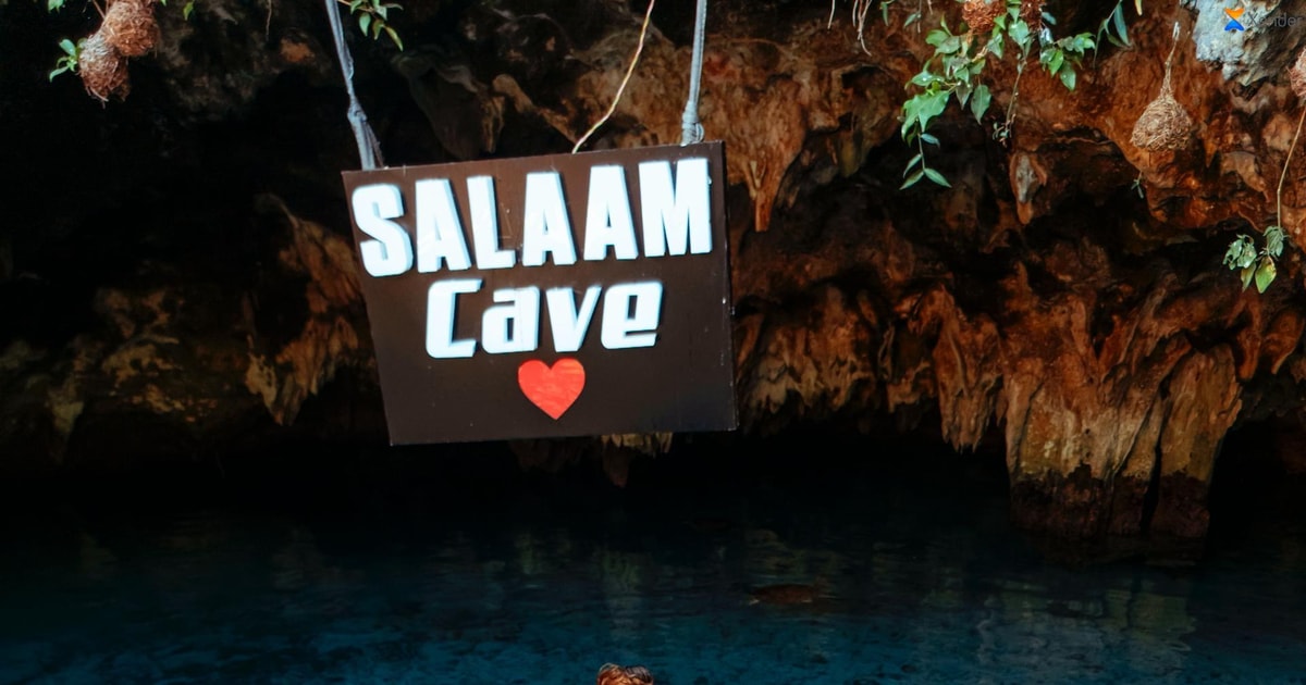 Zanzibar: Salaam Cave Sea Turtles Sanctuary | GetYourGuide