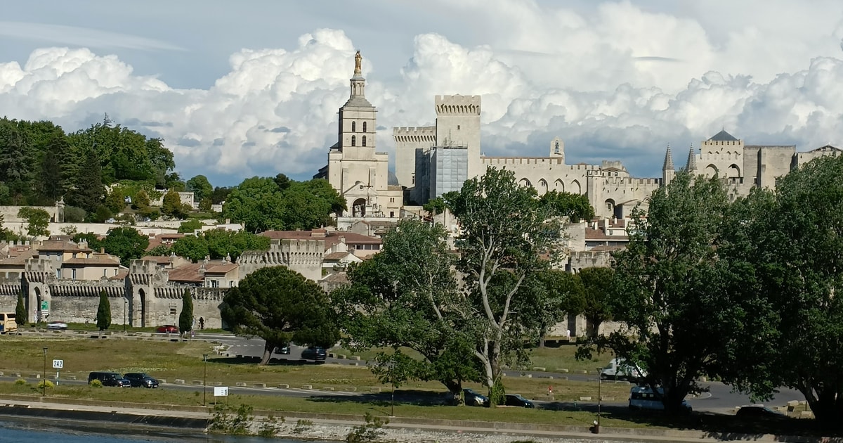 Avignon : Tour de medio día a pie con guía privado | GetYourGuide