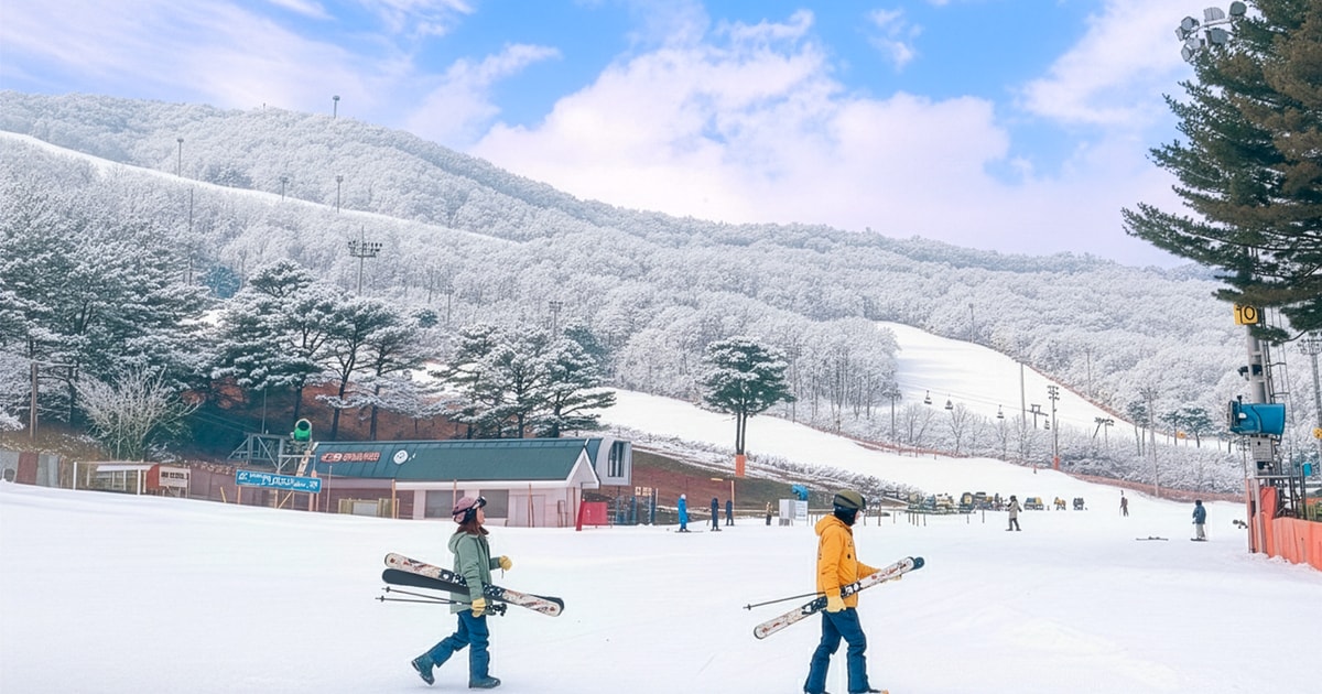 Seoul: Jisan Forest Ski Resort and Everland 1 Day Tour | GetYourGuide