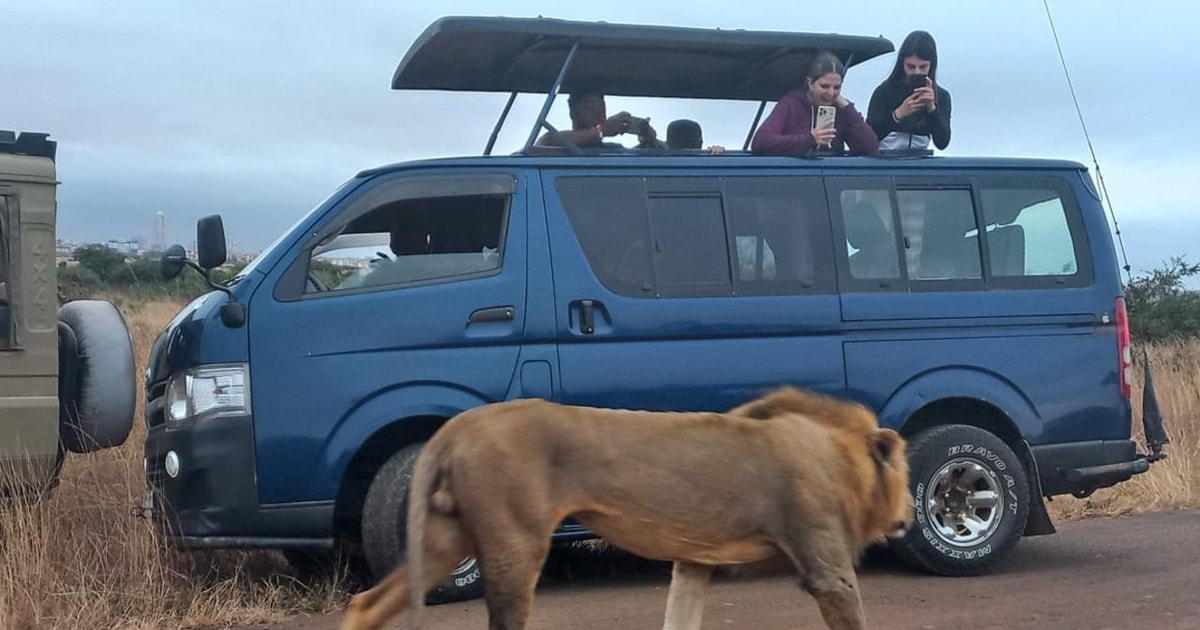 Nairobi: National Park Half-Day Game Drive Guided Tour | GetYourGuide