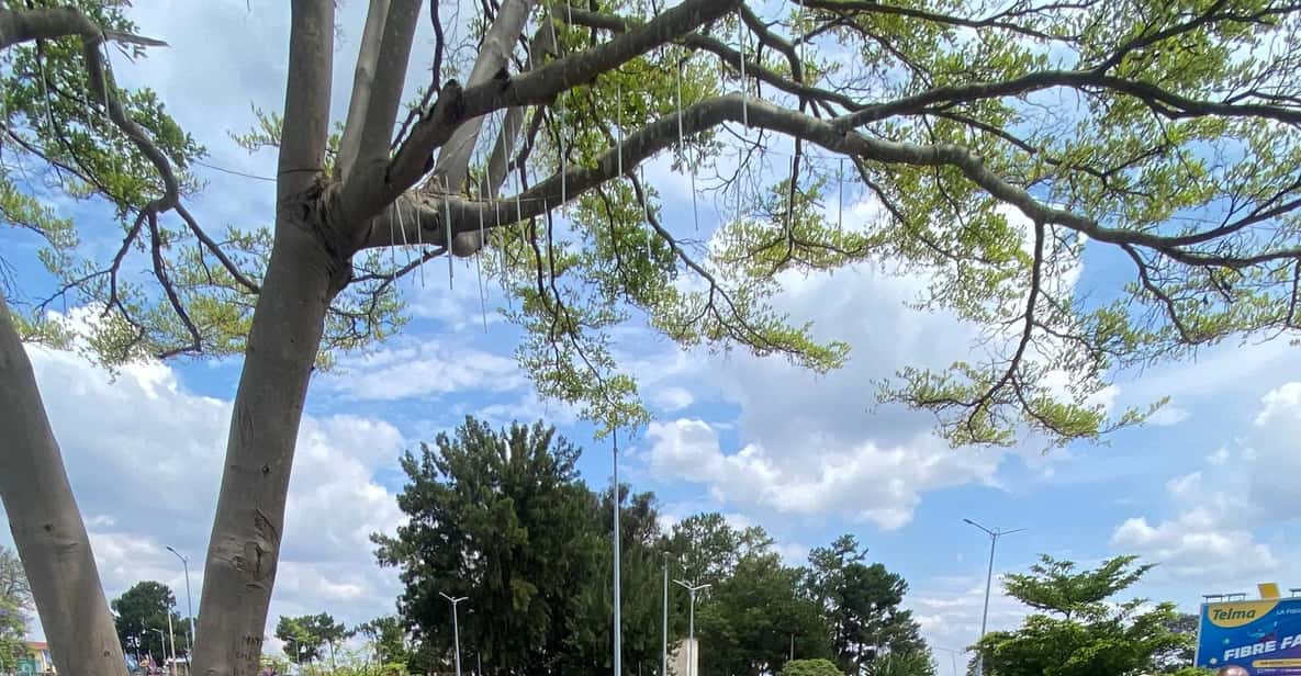 Transfert aéroport (ivato) - hotel . (tananarivo) | GetYourGuide