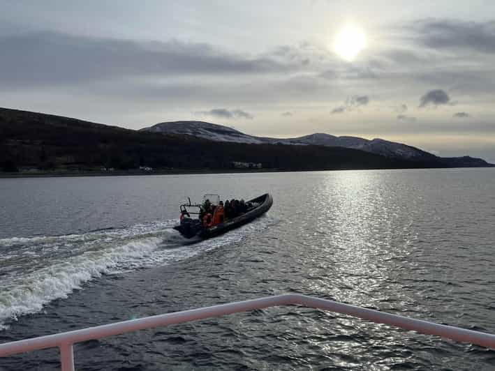 Rib Adventure In Loch Linnhe | GetYourGuide
