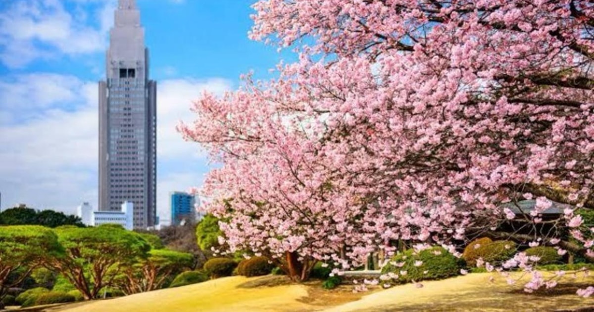 1-tägige Tokio-Tour mit individuell anpassbarem privaten englischen ...