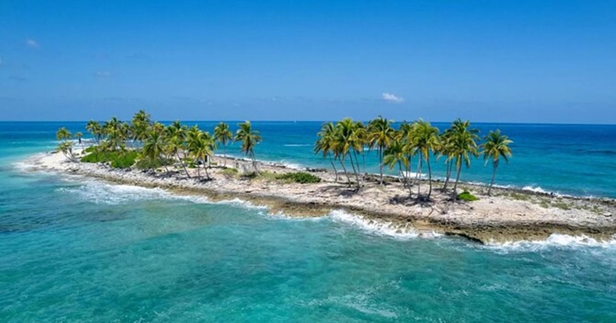 Excursion exclusive d'une journée au départ de Nassau | GetYourGuide