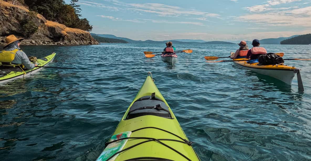 Isla de San Juan: Excursión en kayak de 3 horas | GetYourGuide