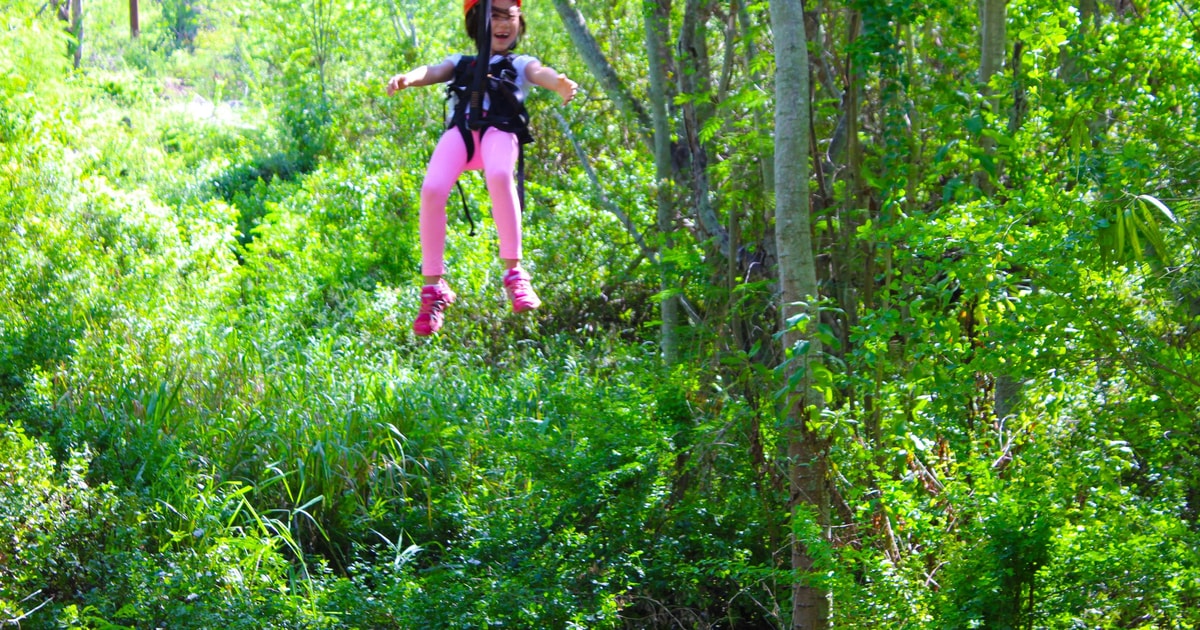 Zip & Dip: 3 Ziplines + Wet 'n' Wild Hawaii Waterpark | GetYourGuide