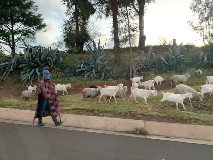 Mafeteng to Maletsunyane Day Tour | GetYourGuide