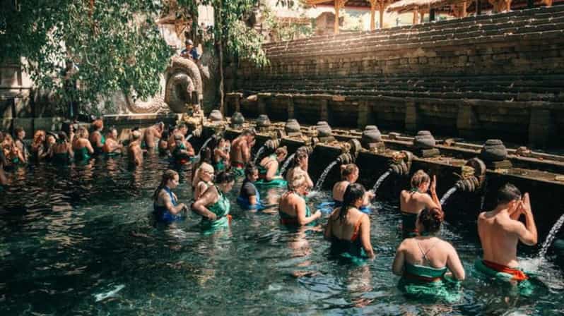 ウブド：モンキーフォレスト、棚田、寺院、ペタヌ滝 | GetYourGuide