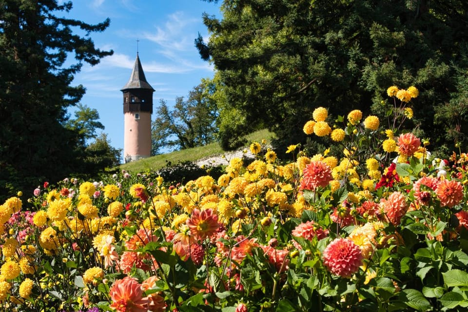 Konstanz: toegangsbewijs voor het eiland Mainau | GetYourGuide