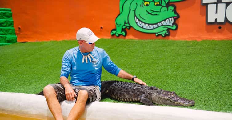 Miami: Wild Everglades Airboat Ride and Gator Encounters | GetYourGuide