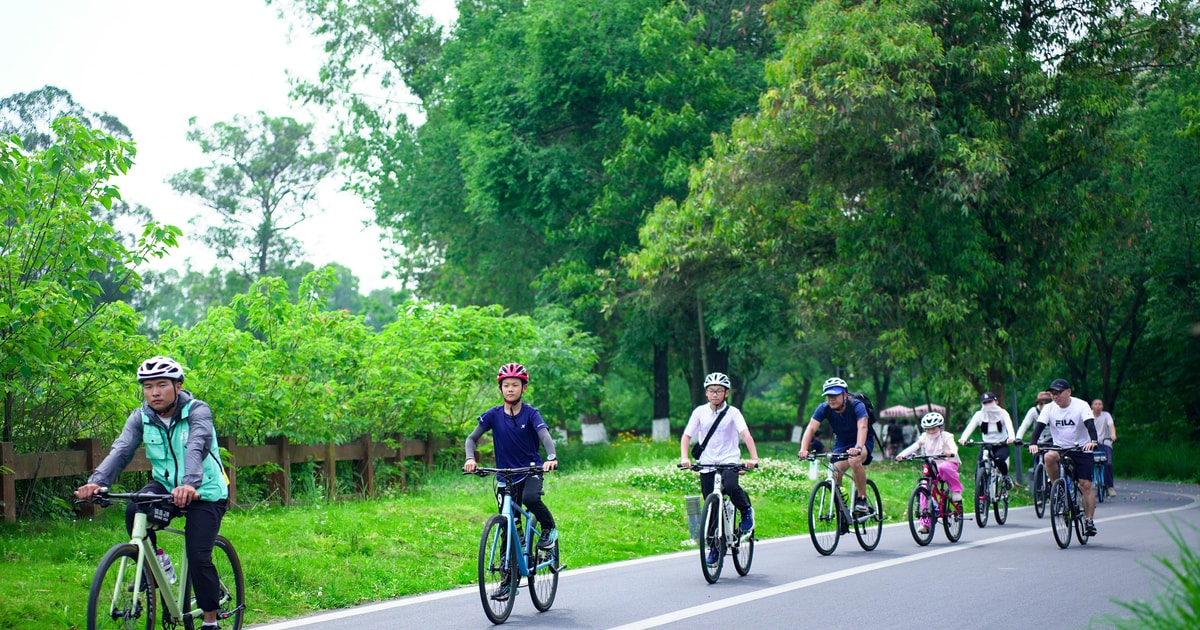 Chengdu: 100km Greenway Ring Road Cycling Challenge tour | GetYourGuide