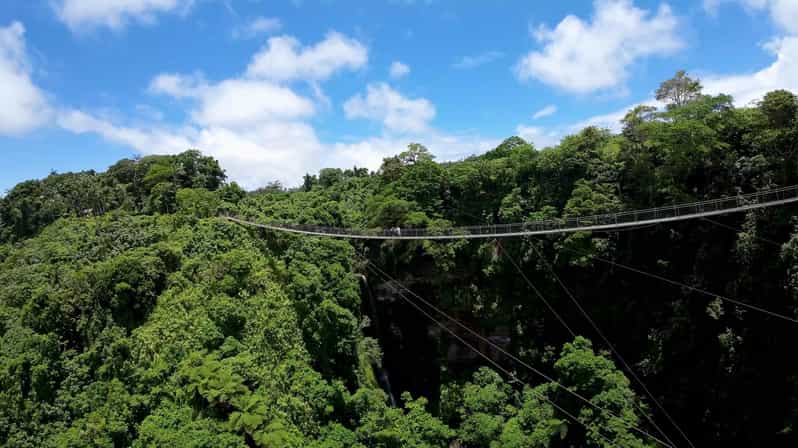 Vanuatu Jungle Skybridge | GetYourGuide