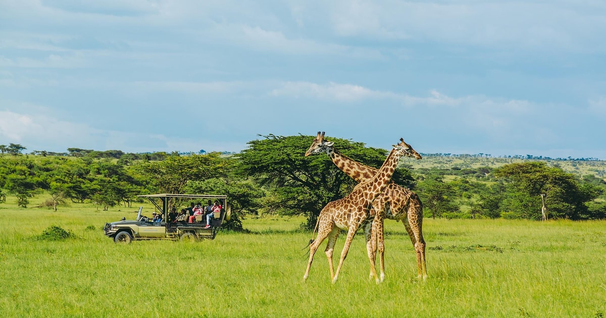Nairobi Airport Layover: Tour Nairobi National Park- 4 hours | GetYourGuide