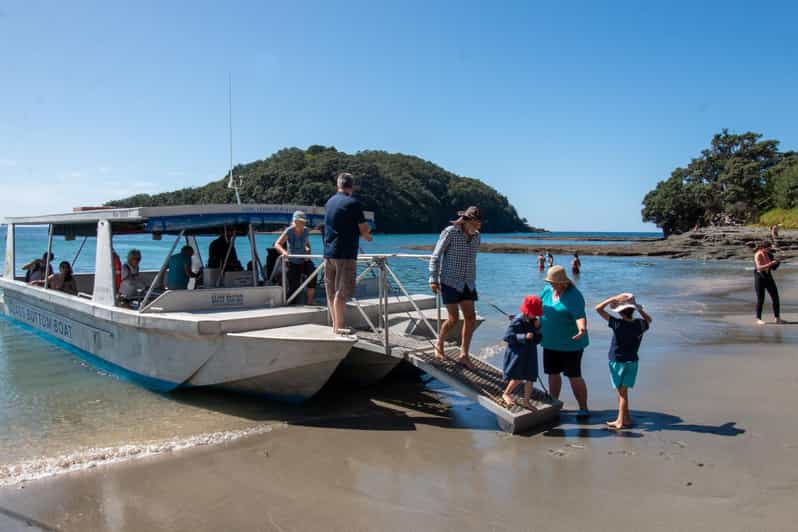 Isla de las Cabras: Tour en barco con fondo de cristal | GetYourGuide