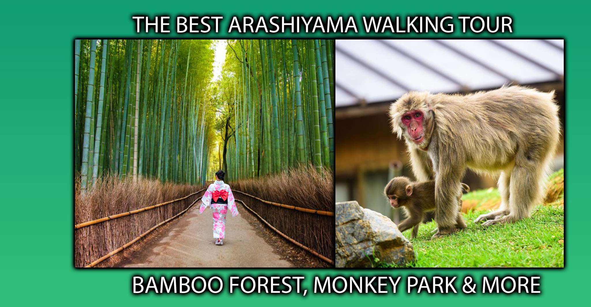 Kyoto, Arashiyama Bamboo Forest, Monkey Park & Secrets Tour | Guided ...