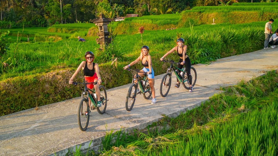 E-Bike: Ubud Rice Terraces & Traditional Villages Cycling | GetYourGuide