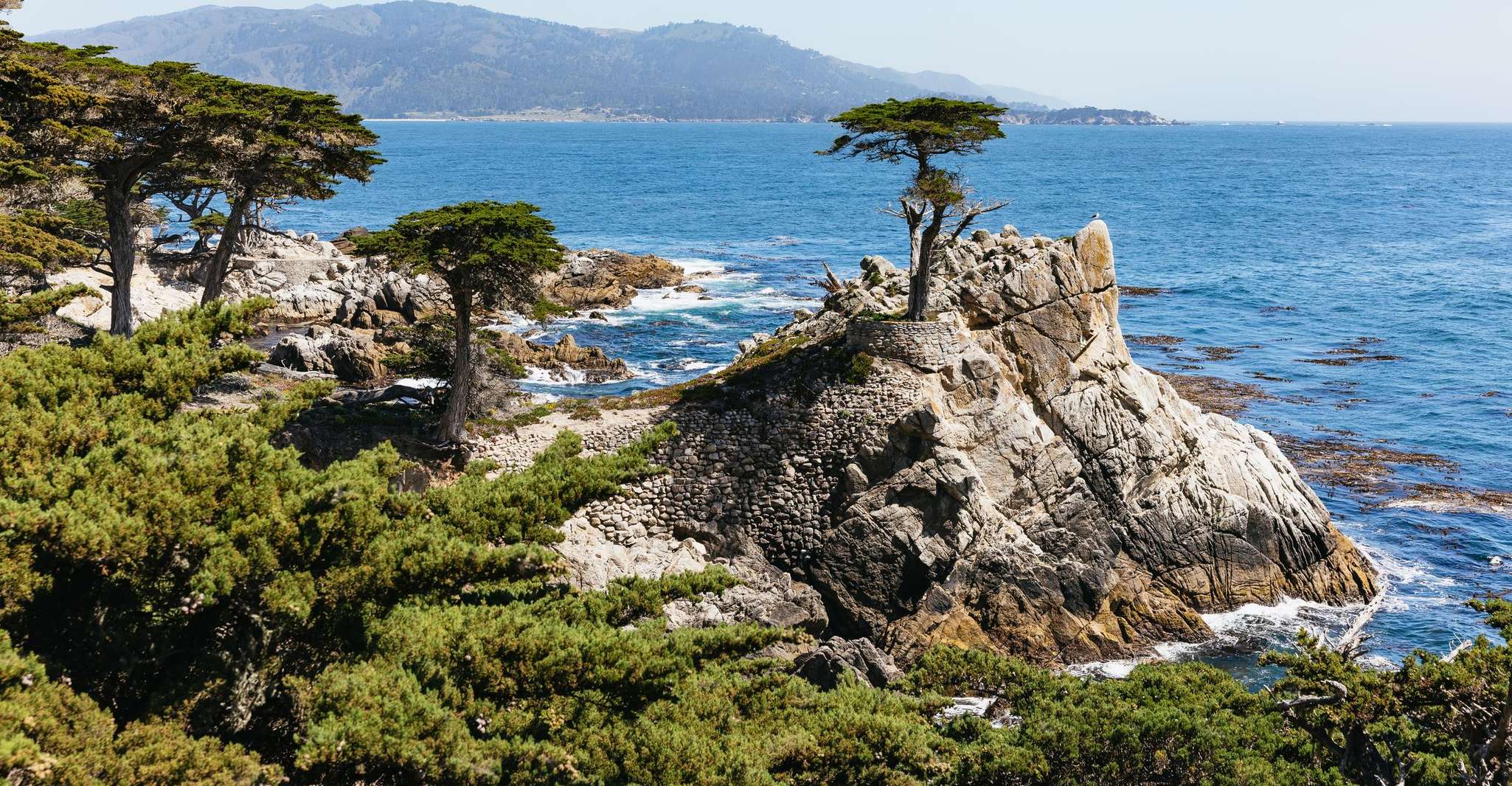 From San Francisco, Monterey and Carmel Day Tour | Day Trip in Monterey