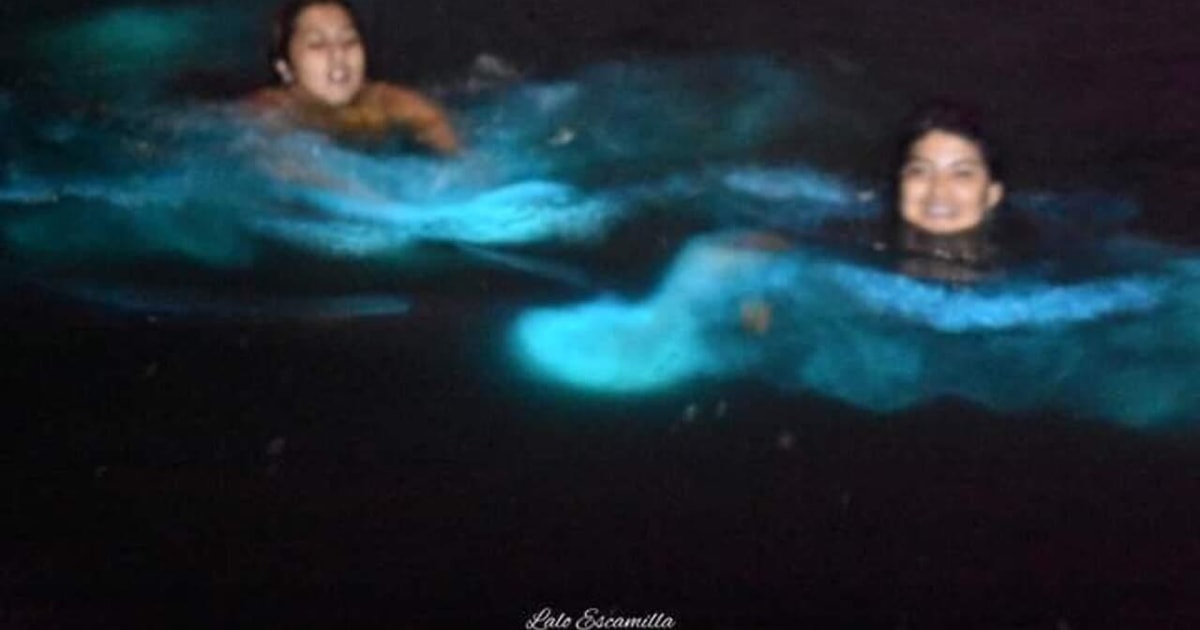 Puerto Escondido: Chacahua Lagoon Bioluminescentie Tour | GetYourGuide