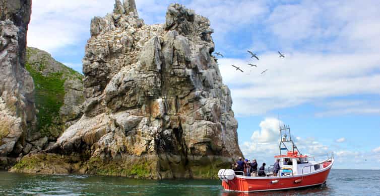 Dublin: Howth Coastal Boat Tour with Ireland's Eye Ferries | GetYourGuide