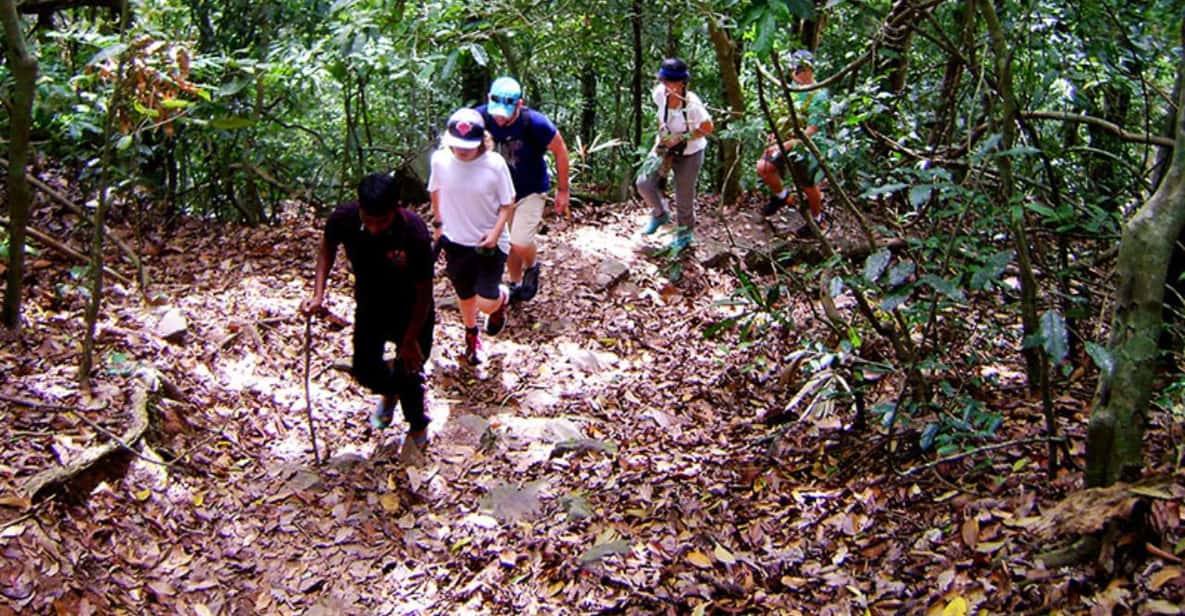 Da Kandy: tour di birdwatching al Santuario di Udawatte Kele | GetYourGuide