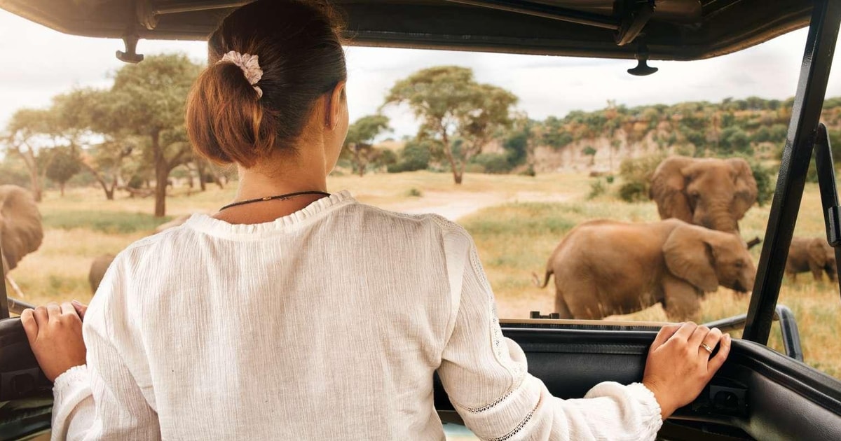 3-Hour Shared Game Drive in Pilanesberg National Park | GetYourGuide