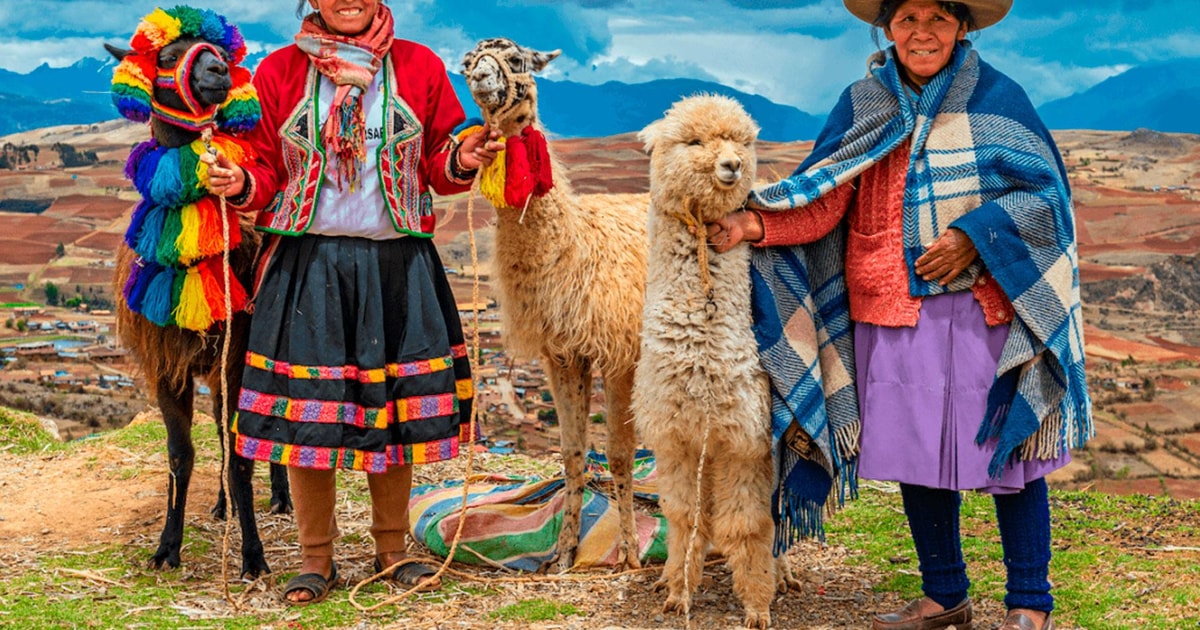 Cuzco: bezoek aan de Racchi-gemeenschap met lamawandeling en lunch | GetYourGuide