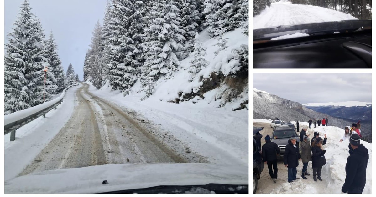 Bucharest: Bucegi Mountains Jeep Tour with Peles Castle | GetYourGuide