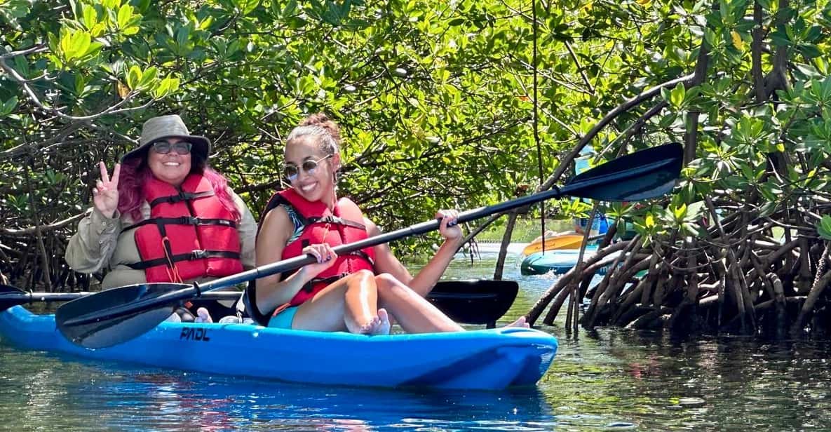 Miami: Paddle Board of kajakverhuur in Virginia Key | GetYourGuide
