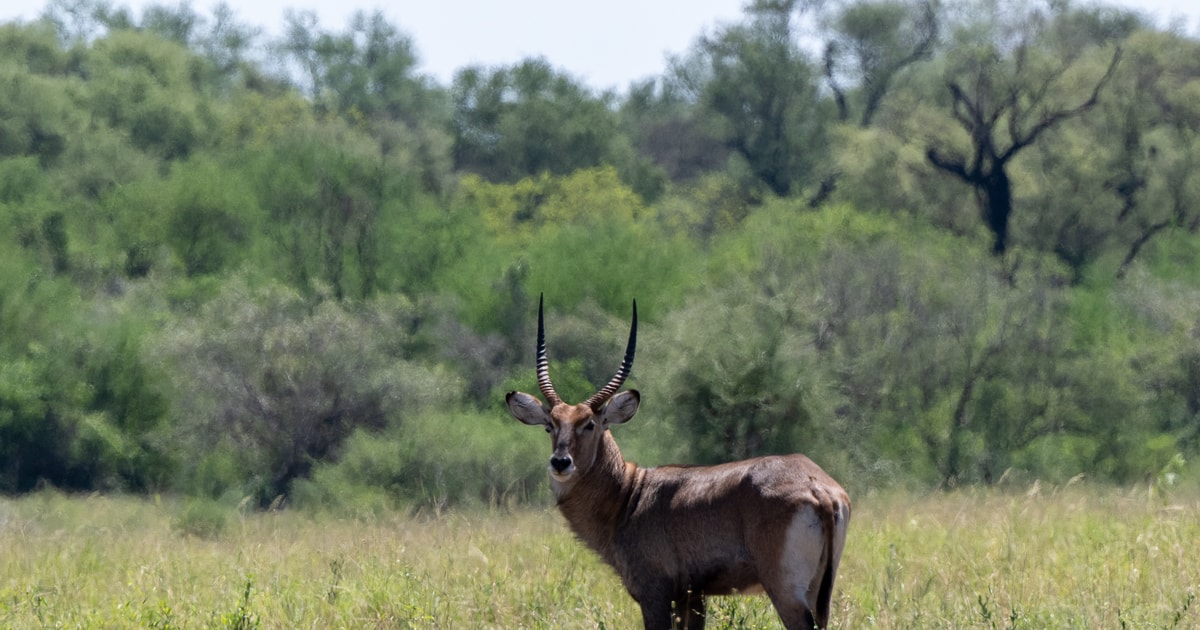 Highlight-Tour ins Omo-Tal | GetYourGuide