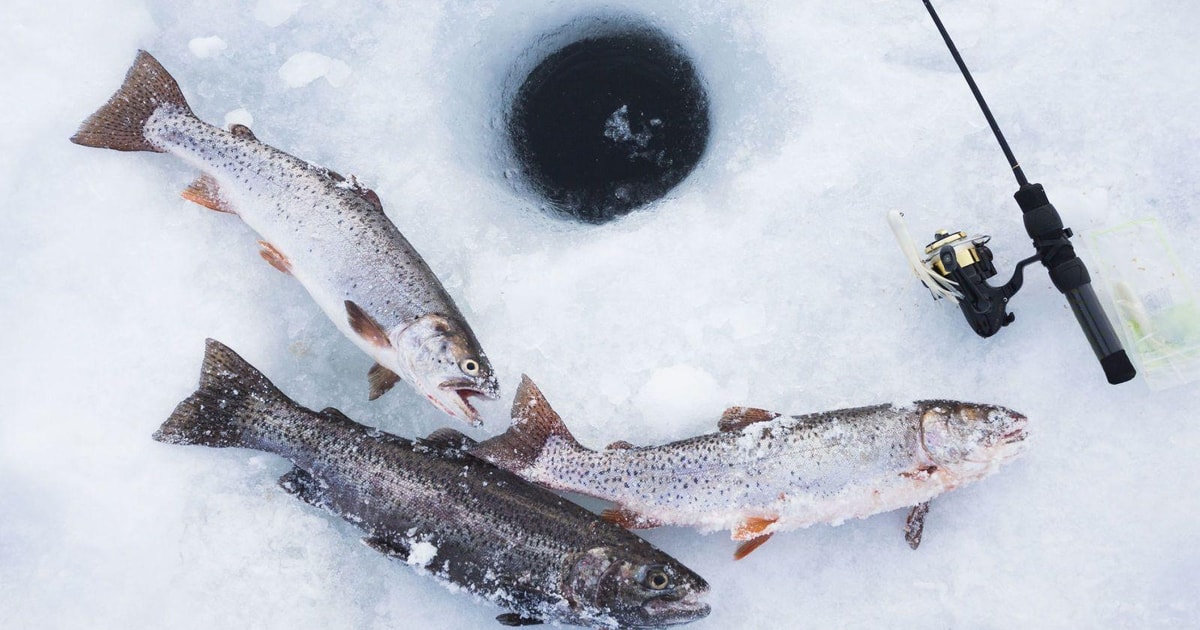 Ice Fishing Adventure in Levi with Salmon Soup | GetYourGuide