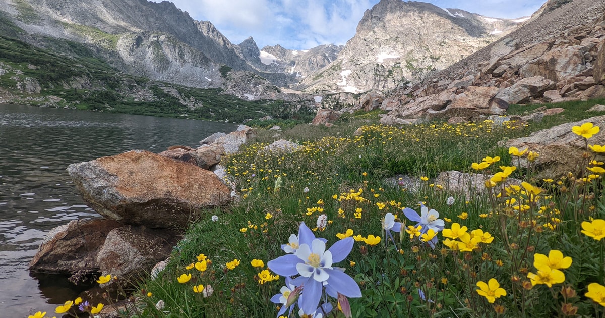 Denver: Tour privado de fauna silvestre por el Parque Nacional de las ...