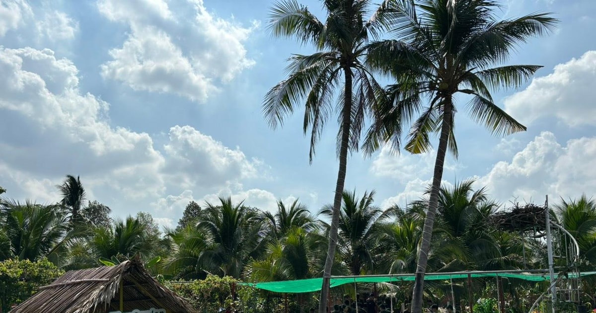 Ho-Chi-Minh-Stadt: 2-tägige Tour mit Fahrrad und Kajak durch das Mekong ...