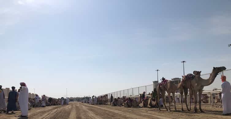 Doha Camel Racing Track: Oryx Farm & Sheikh Faisal Museum. | GetYourGuide