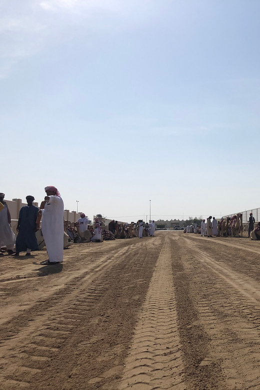 Doha Camel Racing Track: Oryx Farm & Sheikh Faisal Museum. | GetYourGuide