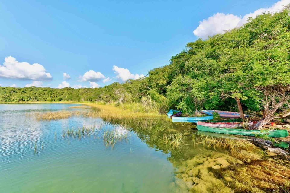 Full Day Tour to Cobá Ruins, Punta Laguna & Cenote | GetYourGuide