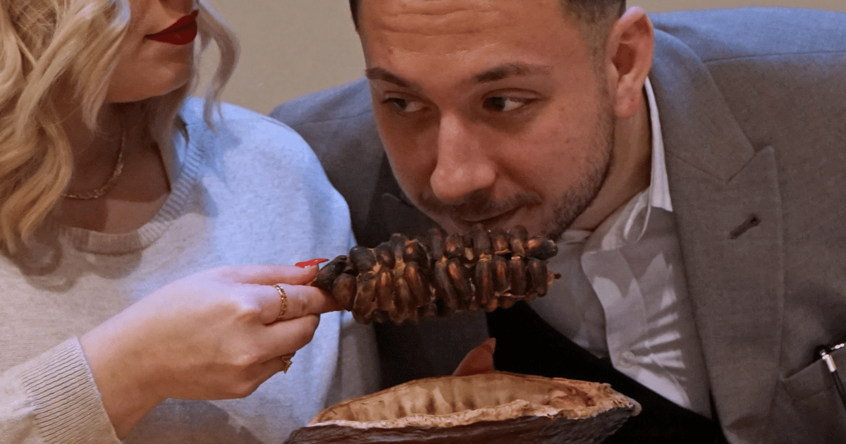 The Turin Chocolate Tasting Experience | GetYourGuide