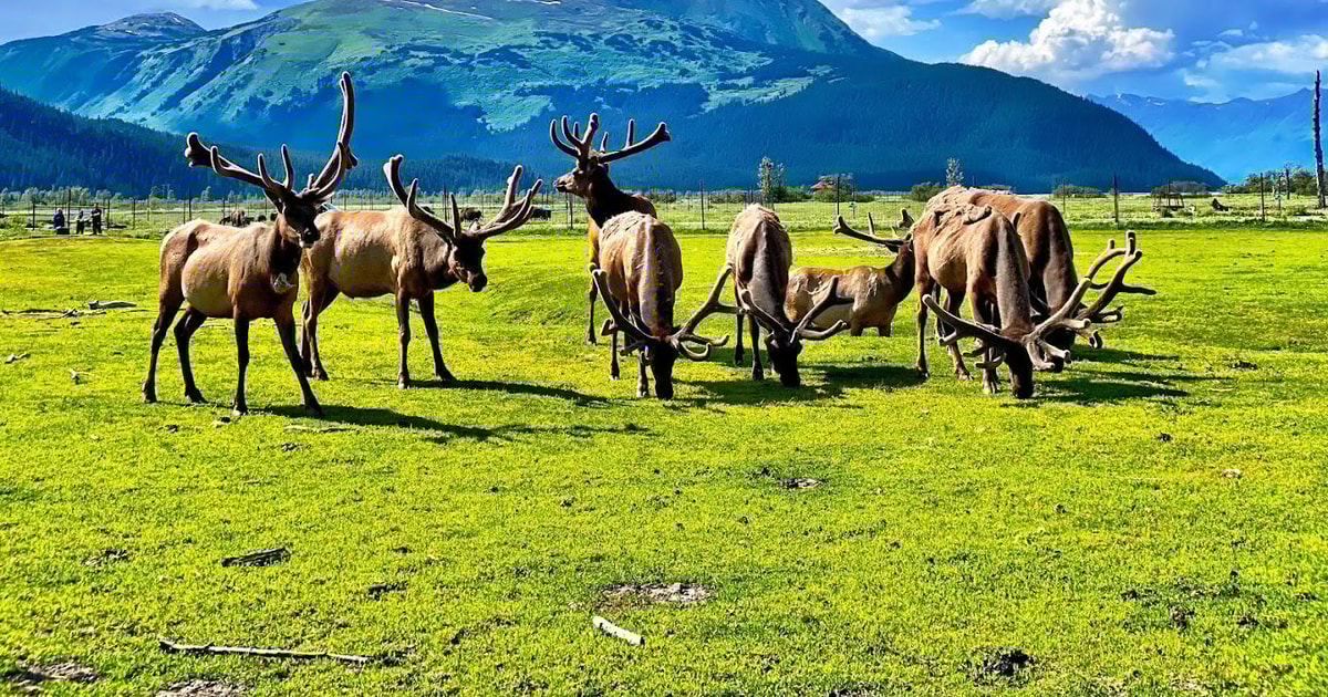 Centro de Fauna con Comida y Degustación de Cerveza Local | GetYourGuide