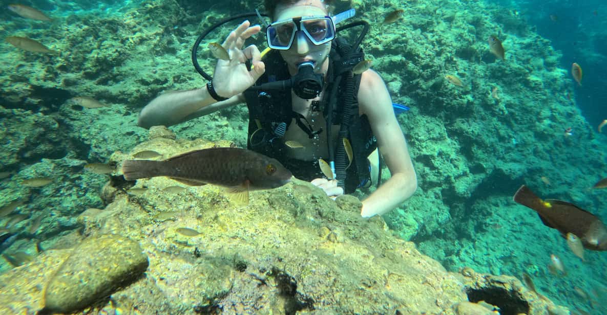 Alanya: Scuba Diving Boat Tour with Lunch and Equipment | GetYourGuide