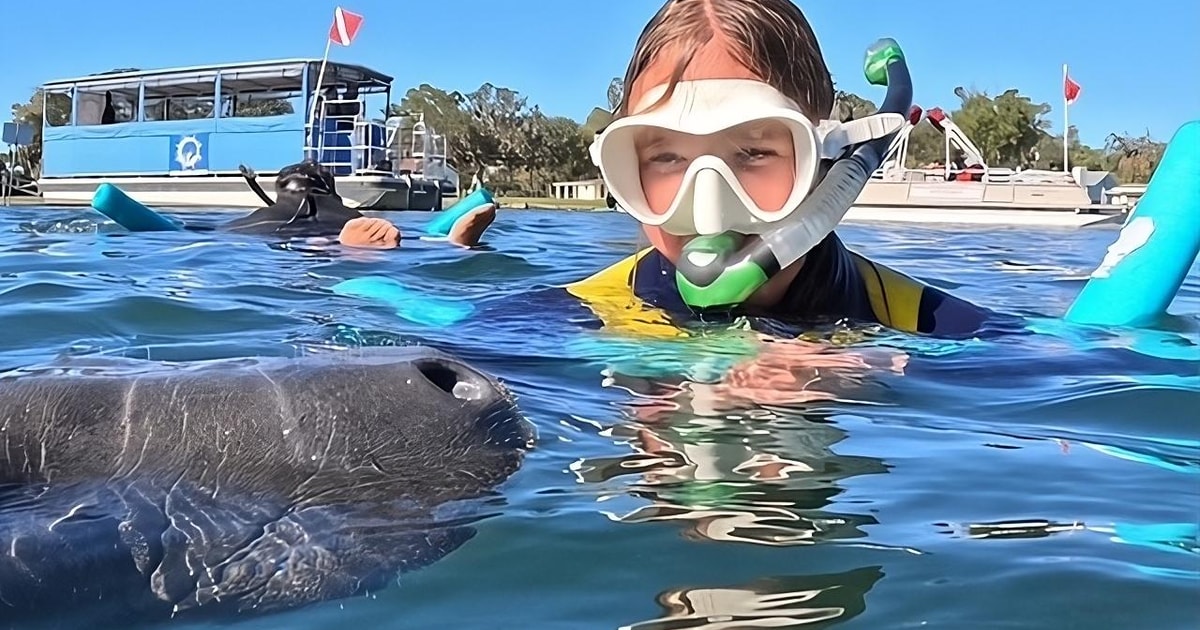 Crystal River: VIP Guided Swim with Manatee Tour Free Photos | GetYourGuide