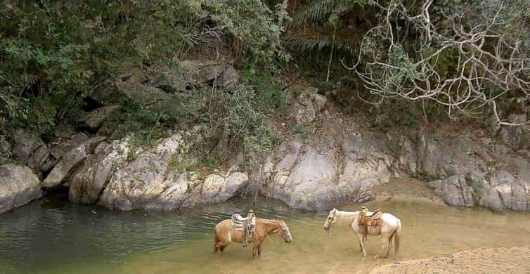 Puerto Vallarta: Private Tour Hiking Quimixto Waterfall | GetYourGuide