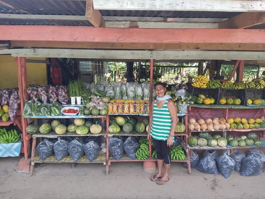 Punta cana: 3 hour panoramic small group day trip | GetYourGuide