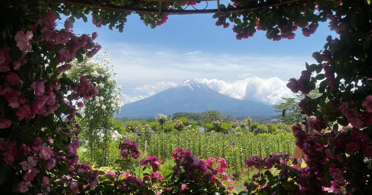 Excursión de un día al Monte Fuji: Aventura alrededor del lago ...