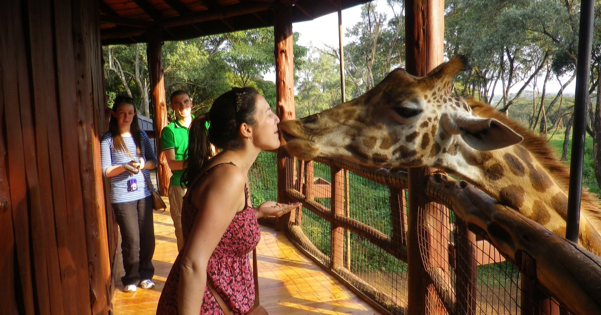 Giraffe Center,Elephant Orphanage,Kobe beads & Bomas | GetYourGuide